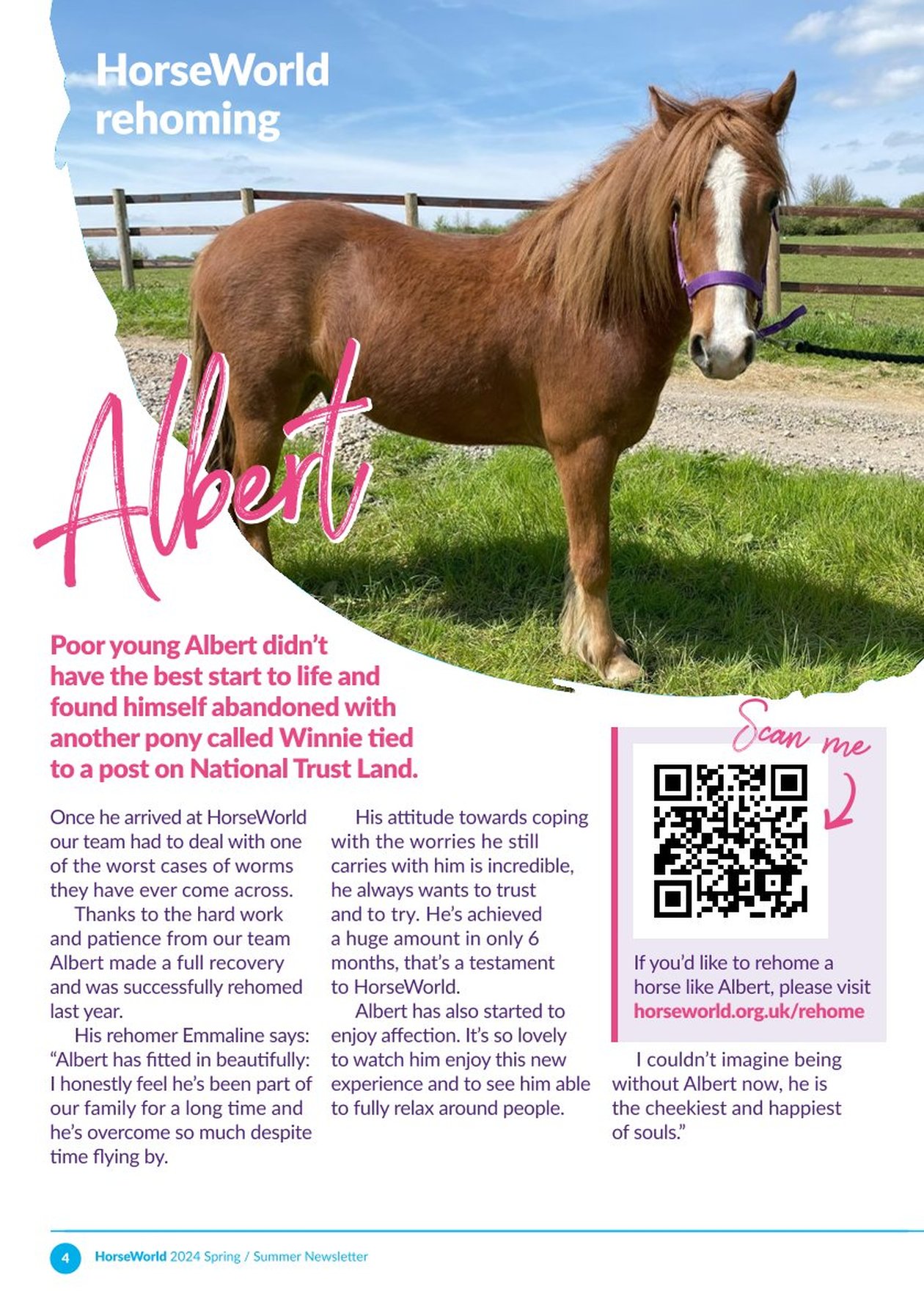 Read our Newsletter | HorseWorld
